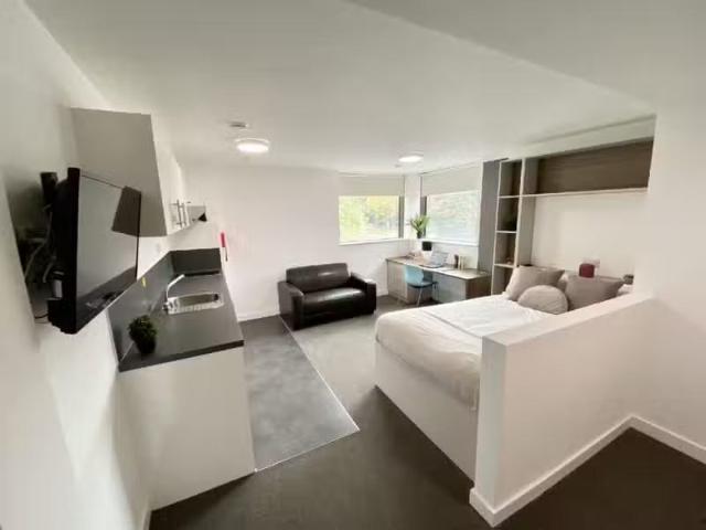 Unique Studio flat for rent in F13 54 George Road, Five Ways.