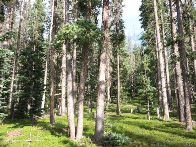 Forbes Rd Lot 6524, San Luis, CO 81152