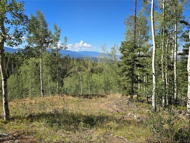 Forbes Rd Lot 6174, San Luis, CO 81152
