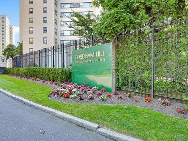 Fordham Hill Oval # 3