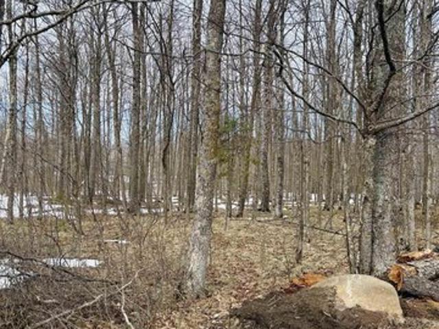 Fordville Rd Lot 25, Hardwood, MI 49834