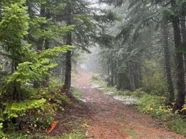 Forest 2820 Rd Unit 100, Sweet Home, OR 97386