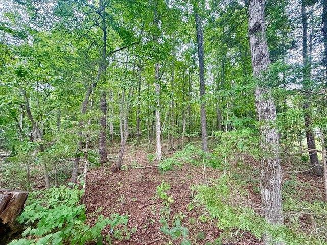 Forest Chapel Rd, Pamplin, VA 23958