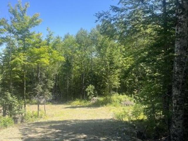 Forest City Rd Lot,forest City Township, Plot For Sale