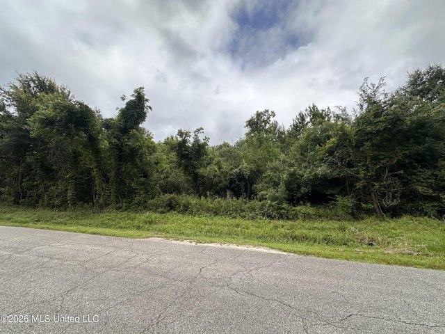 Forest Ave, Bay Saint Louis, MS 39520
