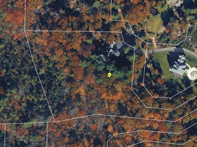 Forest Ave