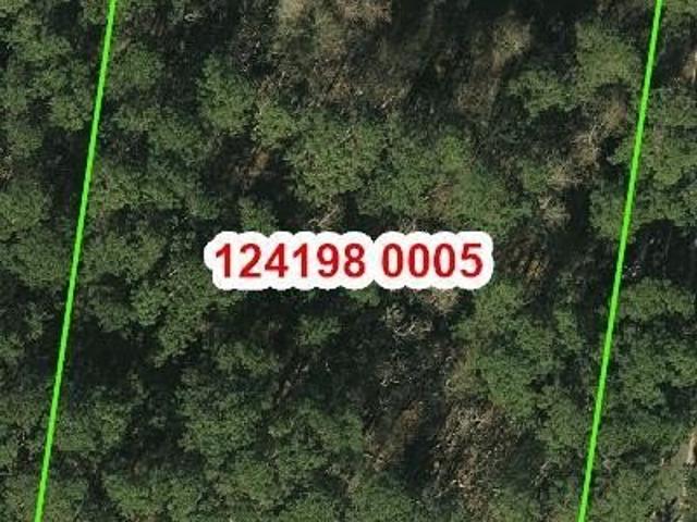 Forest Blvd, Jacksonville, FL 32246