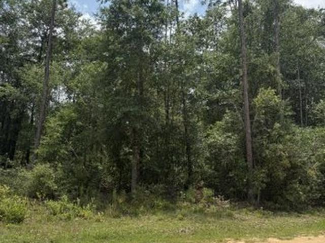 Forest Glen Dr, Fountain, FL 32438