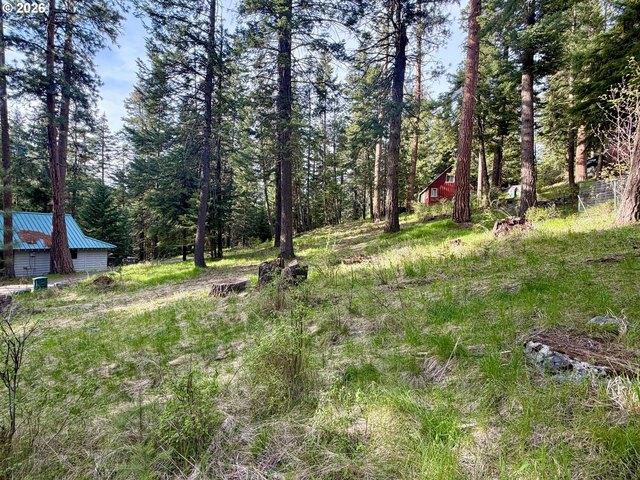 Forest Dell Ave, Wallowa Lake, OR 97846