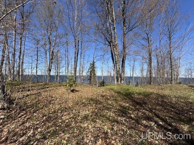 Forest Dr Lot 34, Skanee, MI 49962