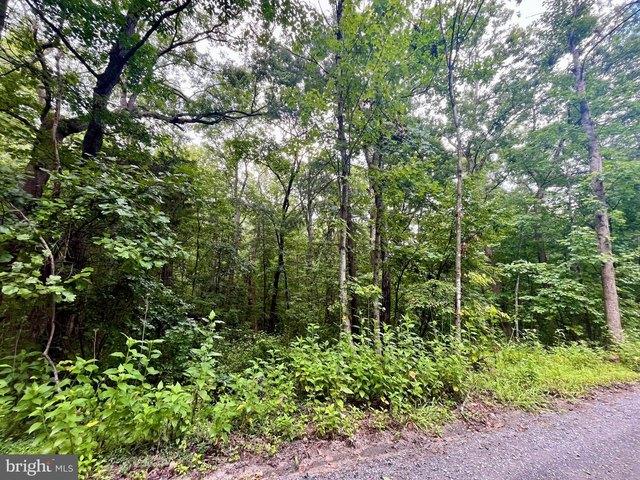 Forest Dr, Luray, VA 22835
