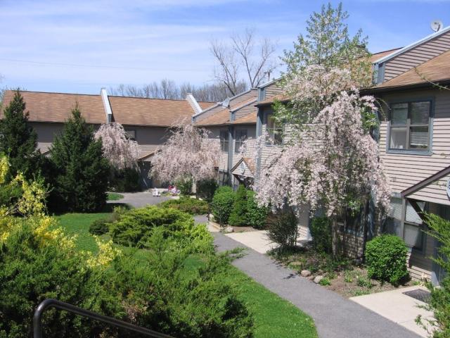 Forest Edge Townhomes 1 month Rent Free!