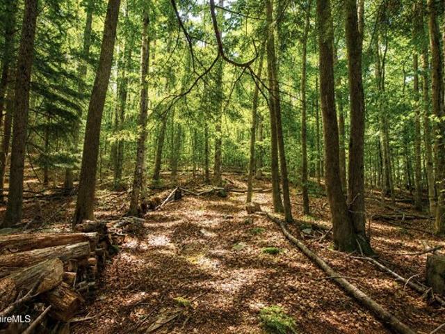 Forest Hill Dr, Hinsdale, Plot For Sale