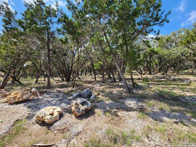 Forest Lake Dr Lot 19, Spring Branch, TX 78070