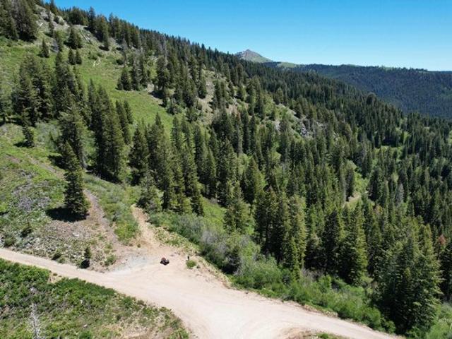 Forest Service Rd # 106, Council, ID 83612