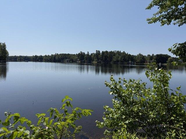 Forest Rd, Alfred, Plot For Sale