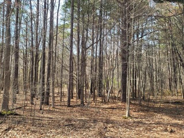 Forest Rd, Grasonville, MD 21638