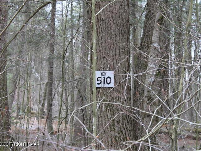 Forest Rd East 510 E