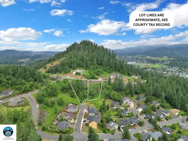 Forest Ridge