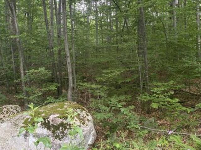 Forest Ridge Dr Lot,middlebury, Plot For Sale