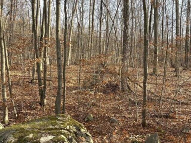 Forest Ridge Dr Lot,middlebury, Plot For Sale