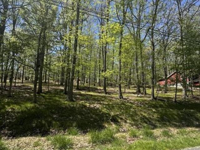 Forest Ridge Dr Lot 89, Hawley, PA 18428