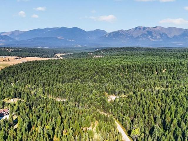 Forest Ridge Rd Lot 1, Fortine, MT 59918