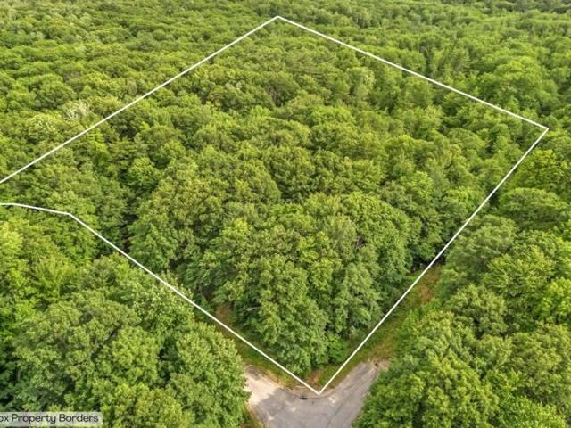 Forest Trail Dr Lot,turner, Plot For Sale