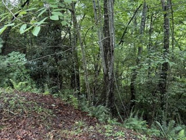 Forest Vista Ln Lot 2, Topton, NC 28781