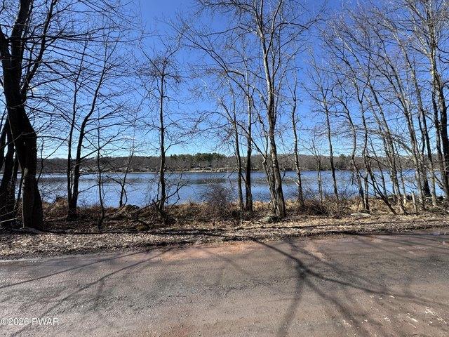 Forever Green Rd Lot 4, Lakeville, PA 18438