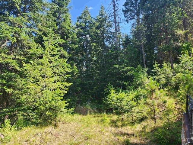 Forgotten 400 Rd, Elk City, ID 83525