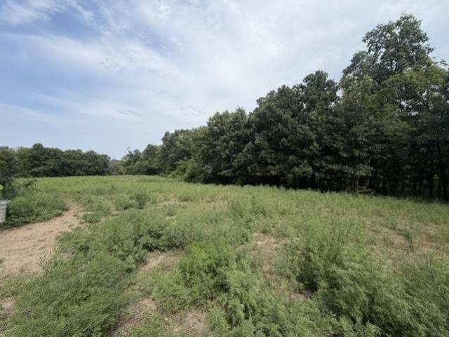 Forrest Rd, Cameron, MO 64649