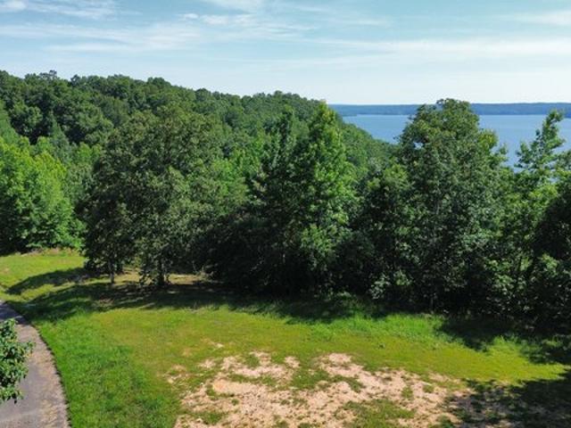 Forrest Xing, Waverly, TN 37185