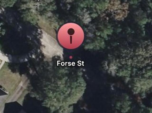 Forse St, Woodville, TX 75979