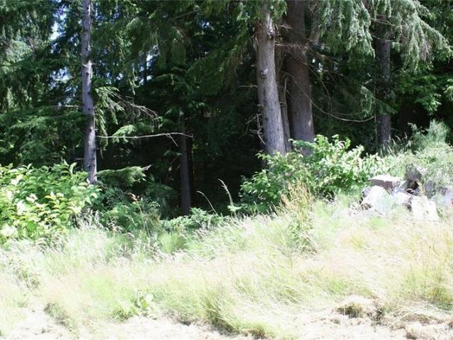 Forsyth Lots 2 & 3 and Rainier, Aberdeen, WA 98520