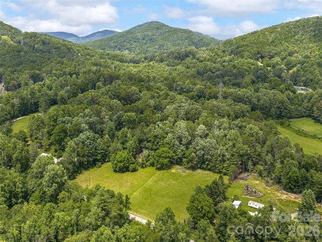 Foster Creek Rd, Horse Shoe, NC 28742