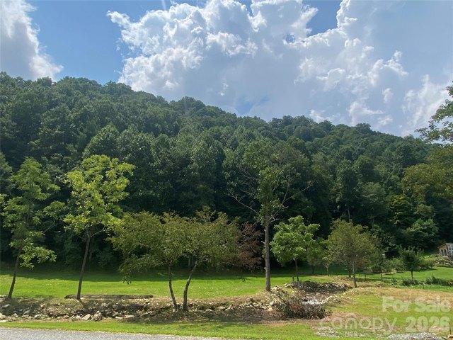 Foster Creek Rd, Marshall, NC 28753
