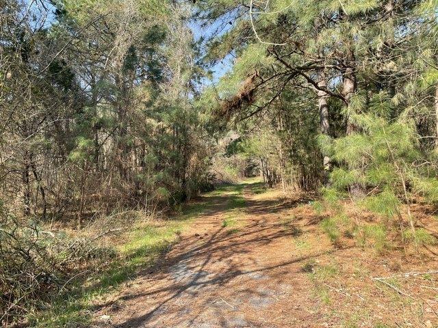 Foskey Ln, Delmar, MD 21875