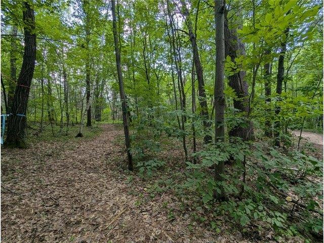 Fosmo Lot 4, Webster, WI 54893