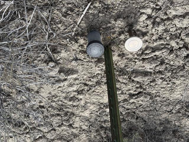 Fossil Lake Road # 100