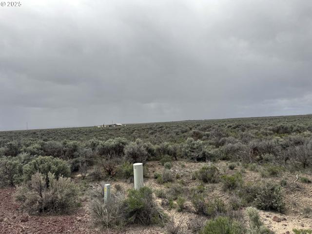 Fossil Lake Road # 100