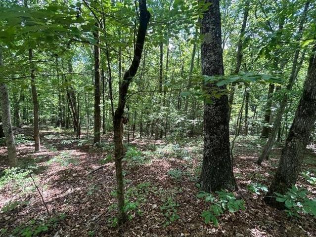 Fouts Mill Rd, Douglasville, GA 30135