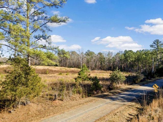 Fountain Inn SC 29644 101012130