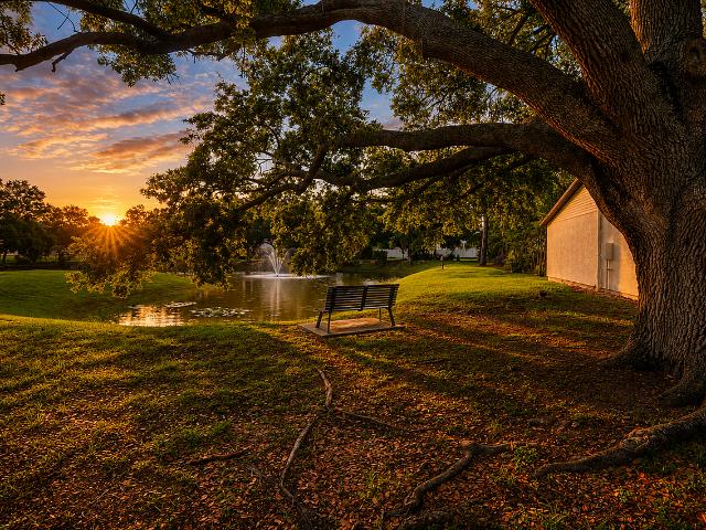 Fountains at Pinellas Park 1 Bedroom Apartment for Rent at 4355 84th Ave N, Pinellas Park, FL 33781