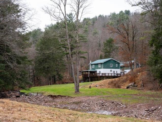 Four Mile Dr, Trout Run, Home For Sale