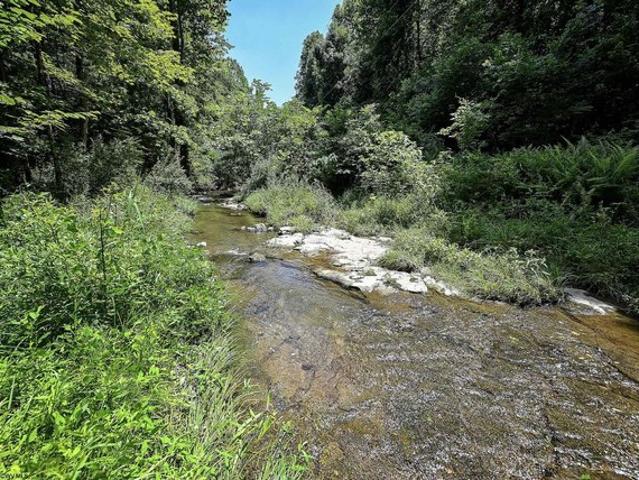 Four States Rd Lot 1, Worthington, WV 26572