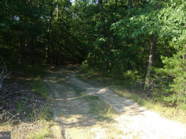 Four Wheel Dr