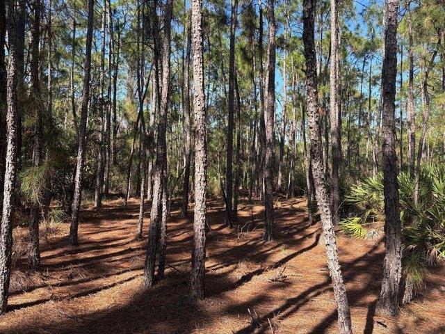 Fourth Ave, Saint Cloud, FL 34771