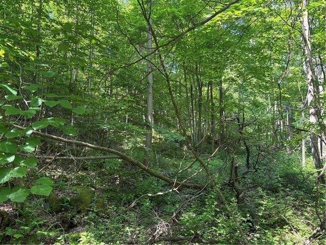 Fowl Hill Rd, Melcroft, PA 15462