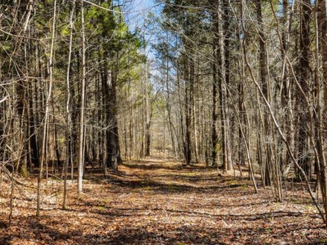Fowler Rd, Beech Bluff, TN 38313